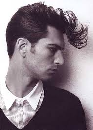 英和画像辞典：(pompadour)の関連画像一覧！ – おもしろい英文法