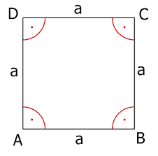 英和画像辞典：(quadrat)の関連画像一覧！