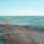 Miami Beach Boardwalk - South Beach and Miami Beach Information