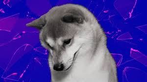 Dogecoin (DOGE) Price, Real-time Quote & News - Google Finance