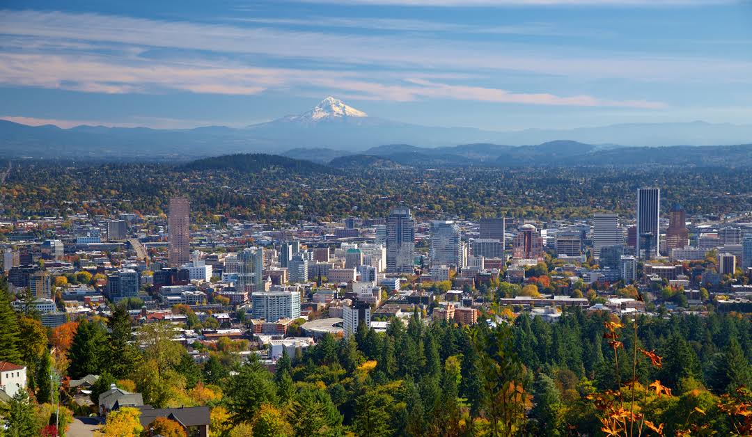 Find Cheap Flights from Seattle to Portland (SEA - PDX) - Google Flights